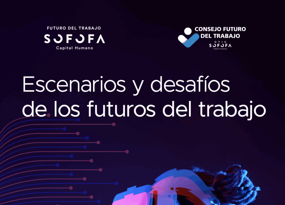 Políticas públicas | SOFOFA